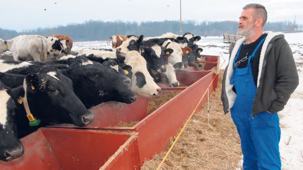 Počelo treće godišnje istraživanje farmi u BiH | Poslovne novine